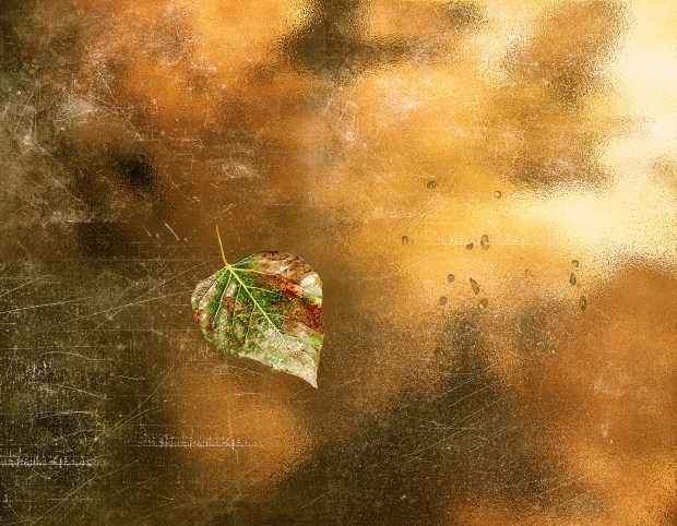 Penny Reilly Artist Beyond the Gate – Artist, Author, Bard, Rural Life…