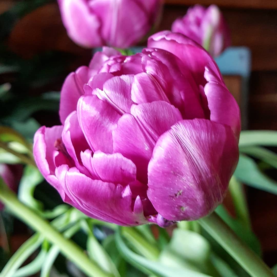 Most days are balanced, but… – Penny Reilly Artist Beyond the Gate